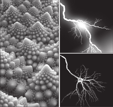 Fractal Geometry Is Born » Gregg Braden